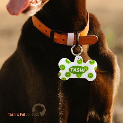 Dog Collar With Name Tag Built-in Personalized Gold Color Dog ID Tag ...